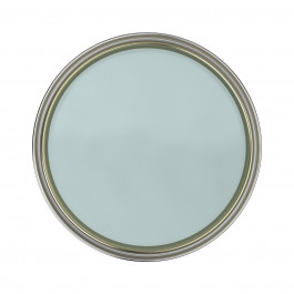 Blue Chintz Paint | Warner House