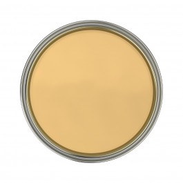 Golden Honeysuckle Paint | Warner House