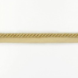 Gold Cord Trimming | Warner House